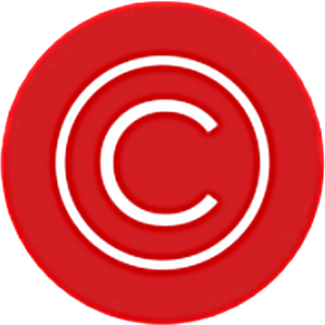 How to Verify a Contractor in Florida | Code Construction